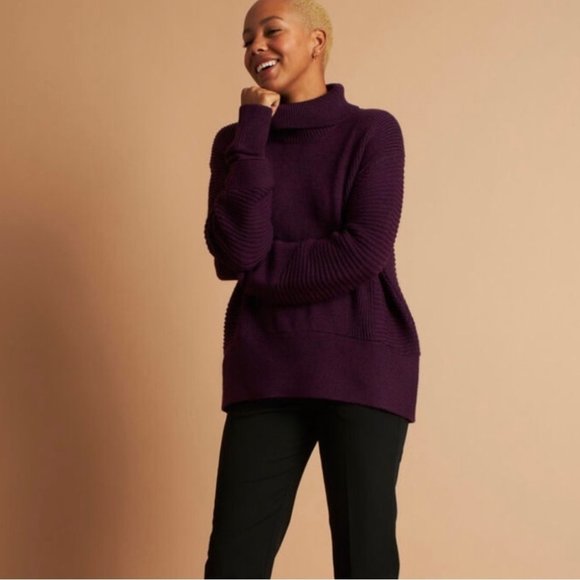 Kit and Ace | Sweaters | Kit And Ace Ash Merino Wool Turtleneck Sweater ...